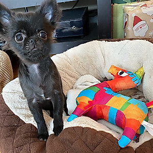 Doggijuana | Refillable Catnip Dog Toy | Naturally Calming | Catnip Grown in The USA (Llama Pinata)