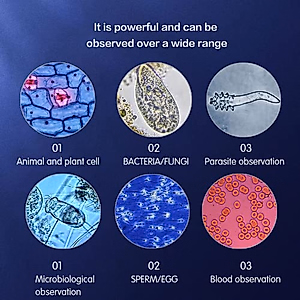 Compound trinocular Microscope, 40X-5000X Magnification, Digital Laboratory trinocular Compound LED Microscope with USB Camera and Mechanical Stage, WF10x and WF20x eyepieces, Abbe Condenser