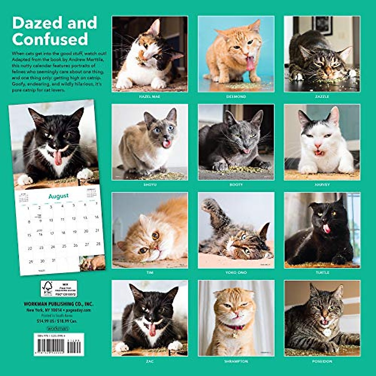 Cats on Catnip Wall Calendar 2021
