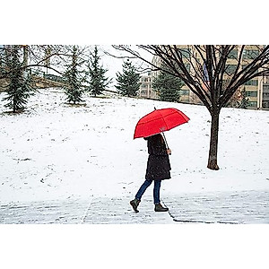 Weatherman Umbrella - Stick Umbrella - Windproof Umbrella Resists Up to 55 MPH Winds - (Sage)