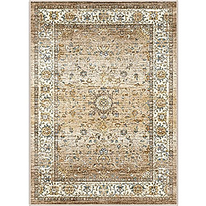 befbee Washable Rug 8x10 Area Rugs for Living Room - Stain Resistant Non-Slip Backing Rugs for Bedroom - Vintage Boho Persian Large Area Rug (Apricot/Blue, 8'x10')