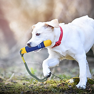 TAILGOO Dog Pool Fetch Toys Interactive Water Floating Toys Outdoor Beach Training Bumpers for Summer, 2 Pack, 10"