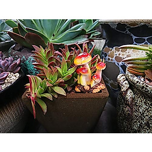 MUAMAX 2 Packs Fairy Garden Mushroom Small Figurines Miniature Garden Mushrooms Fairy Garden Mushrooms Small Little Tiny Mushroom Ornaments Micro Mushroom Figurines Plants Bonsai Craft Decor