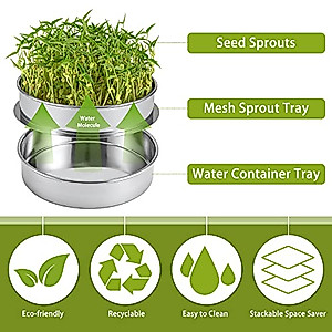 UXIVCKI Stainless Steel Seed Sprouting Kit, Stackable 2-Tier Mesh Seed Sprouting Germination Trays with Base and Lid, Seed Sprouter Set for Growing Broccoli, Alfalfa, Mung Beans