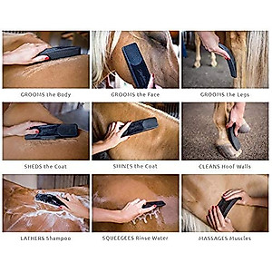 StripHair Gentle Groomer - Original for Horses Dogs 6-in-1 Shedding Grooming Massage