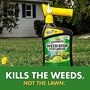 Spectracide Lawn Weed Killer, 32 oz, Clear