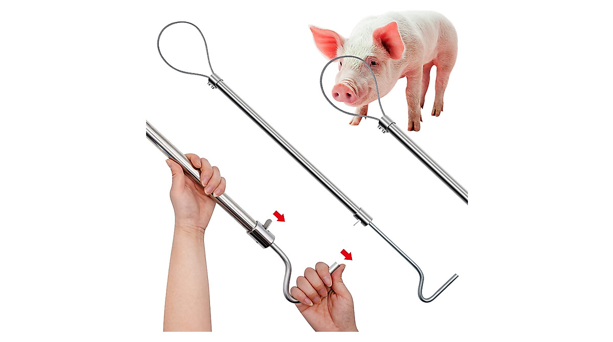 Stainless Steel Pig Catcher Pole | Animal Control Tool
