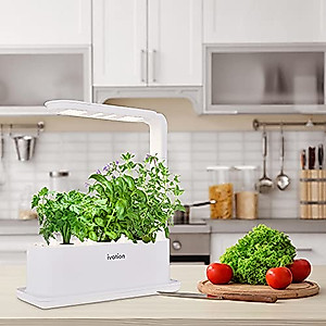Ivation 3-Pod Indoor Hydroponics Growing System Kit with LED Grow Light, Herb Garden Planter for Herbs, Vegetables, Plants Flowers and Fruit