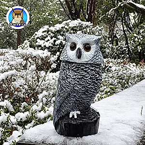 Owlery Solar Owl with Flashing Eyes, Spinning Head and Realistic Tweets, Plastic Owl Decoration for Home, Garden, Patio and Fence