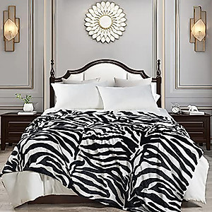 Home Soft Things Light Weight Animal Safari Style Black White Zebra Printed Flannel Fleece Blanket (Twin)
