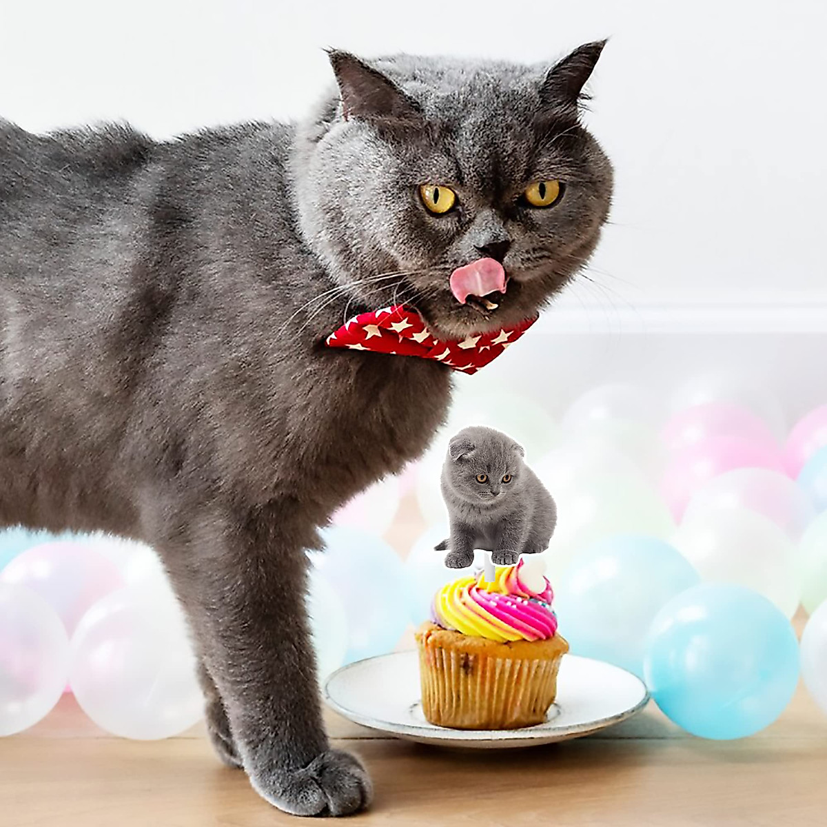 36pcs Baby Cat Cupcake Toppers Cute Cat Cupcake Toppers Kitten Pet Birthday Party Decoration for Kitty Cat Theme Birthday Party Baby Shower Supplies