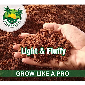 MODELLOR Premium Coco Coir Brick 10 lb., yields 18 to 20 gallons of Coir, Organic, Super Washed, Seed Starter, pH Balanced, Gardening, Indoor, Outdoor use.