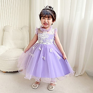 Baby Girls Birthday Dress Infant Ruffled Butterfly Embroidered Special Occasion Dresses (80/12-18M, Purple)