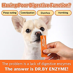 Doctor By Enzyme for Dogs Digestive Enzyme Supplements for Dogs with Protease, Amylase, Lipase - Promotes Digestion and Improves Nutrient Absorption - 30 Individually Packaged (1 Pack)