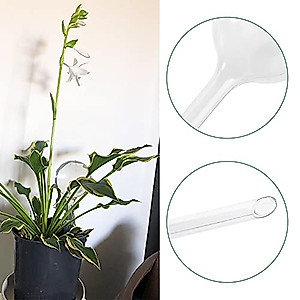 Gddochn 10 Pcs Plastic Clear Self-Watering Bulbs,Garden Plant Watering Globes,Plastic Automatic Devices Watering Globe for Indoor Outdoor Plants,Flowers