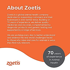 Quest Plus Gel Moxidectin/ Praziquantel Horse Dewormer, Late Grazing Season recommended for Horses and Ponies 6 months and older, 0.5oz Sure-Dial Syringe