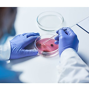 20 Pack Plastic Petri Dishes with Lids, 90 x 15mm Bioresearch Sterile Petri Dish, Culture Dishes for School Science Projects, Seeding, Storage, Biological Themed Party