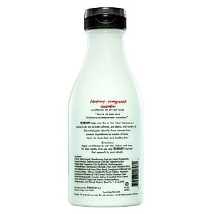 Teenology Shampoo and Conditioner Bundle (Save 5%) - Avoid Forehead Acne and Breakouts - No Sulfates or Parabens, Noncomedogenic, Natural Botanical Extracts, Blueberry Pomegranate Cucumber - 16 oz.