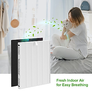 VALZONE Winix C545 2 Pack H13 True HEPA Replacement Filter S Compatible with Winix C545 Part# 1712-0096-00 with 8 Extra Activated Carbon Pre-Filters 13.07 x 10.94 x 0.98 inches