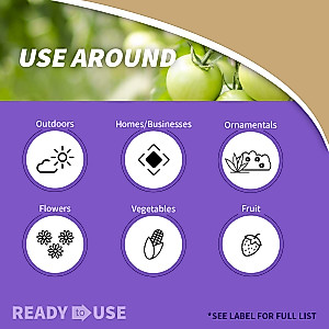 Bonide Bug Beater Stink Bug Trap, Attracts and Catches Stink Bugs Indoors and Outdoors, Long Lasting and Odorless Protection