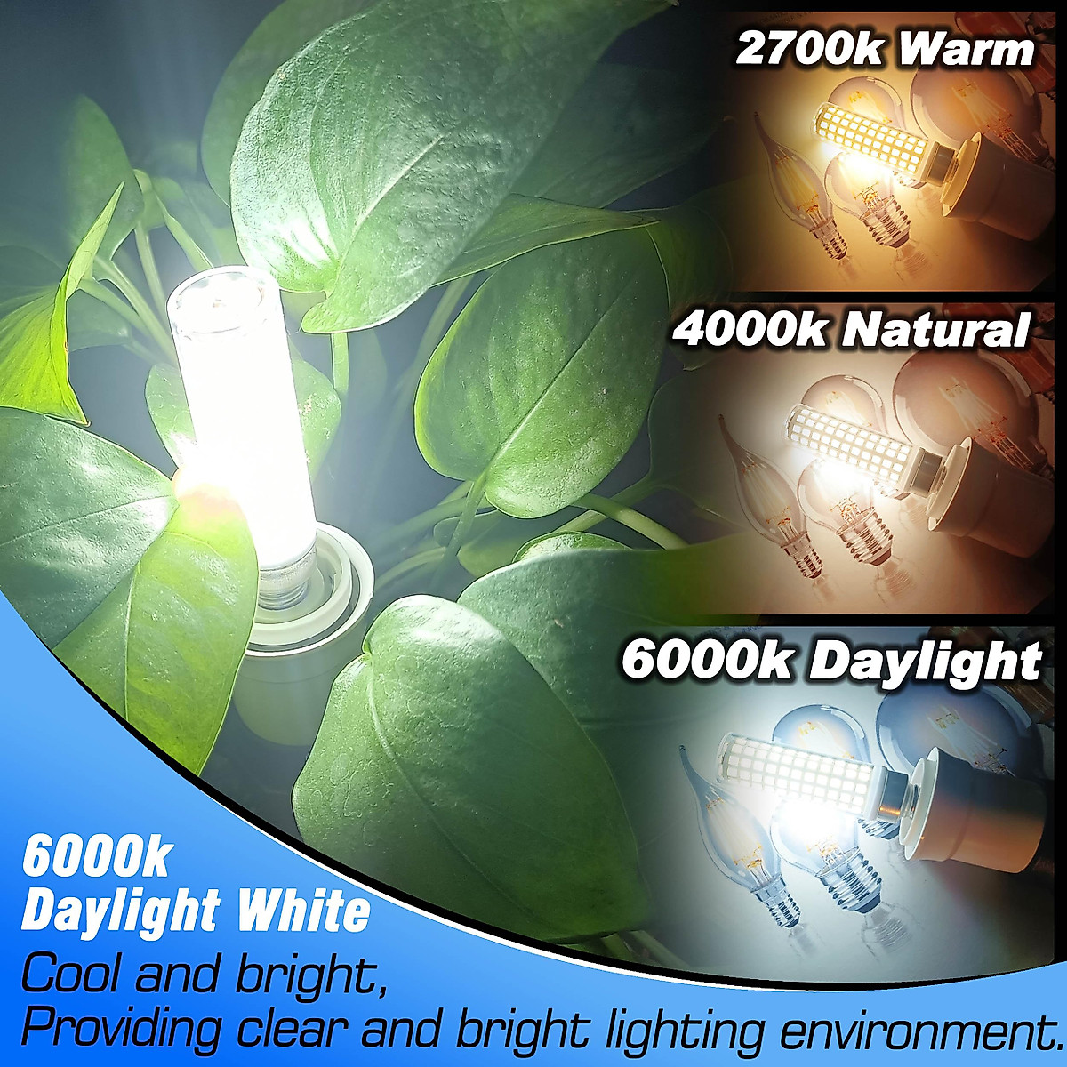 Heifymi E17 LED Light Bulb 10 Watt Equivalent 100W 6000K Daylight White 1000lm 120V E17 Intermediate Base LED Bulb for Desk Lamp,Ceiling Fan Lights, Headboard Reading Lights, Non-Dimmable, 3 Pack