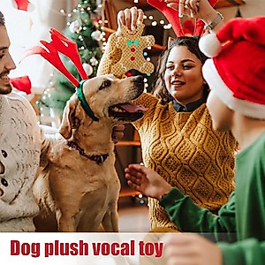 Stuffed Christmas Dog Toys, Cute Christmas Themed Squeaky Dog Toy, Puppy Gingerbread Man Chew Toys, Puppy Chew Santa Toys, Puppy Chew Toys Soft Pet Toys Tough Dog Chew Toys for Aggressive Chewers