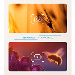 LCD Microscope 4.3" IPS Screen, 1080P Digital Stand Microscope Inspetion Camera, 8 LED Lights, 50x-1000x Magnification, USB Electron Microscopes Compatible with Computer