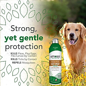 Vet's Best Flea and Tick Home Spray - Dog Flea and Tick Treatment for Home - Plant-Based Formula - Certified Natural Oils - 14 oz