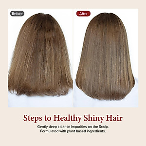 Kundal Honey&Macadamia Hydro-Intensive Protein Premium Nature Hair Shampoo [English Rose] Sulfate Free, Macadamia Oil for Damaged Hiar care, Deep Clean & Hydration 600ml (300ml x2ea) 20.28Fl oz