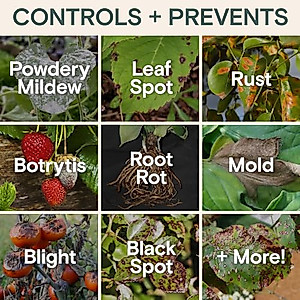 Arber Nutrition & Health Starter Set - Organic Plant Nourishment, Protection & Growth Boost - Liquid Concentrate for Gardens (Organic Nutrition & Health Set)