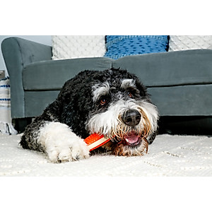 Hartz Chew 'n Clean Tuff Bone Tough Dog Chew Toy, Large 3 Pack