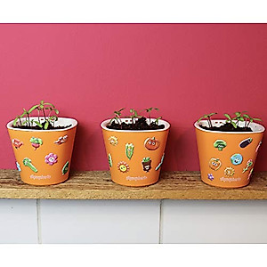 Window Garden Sow Much Fun Seed Starting, Vegetable Planting and Growing Kit for Kids, 3 Self Watering Planters, Soil, Seeds and Puffy Stickers. No Mess, Easy, Works Great! (Cucumber) & (Pumpkin)