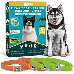 4 Pack Flea Collar for Dogs, Dog Flea and Tick Collar 8 Months Flea and Tick Treatment Prevention for Dogs, Waterproof Adjustable Dog Flea Collar Natural Tick and Flea Collar for Dogs (Oragne&Green)
