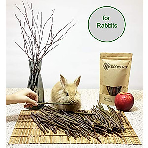 Apple Sticks 120 Gram Rabbit & Hamster Chew Toys - 100% Natural & Organic Chinchilla Food, Treats for Guinea Pig, Squirrels, Parrots & Other Small Animals (Made in Ukraine)