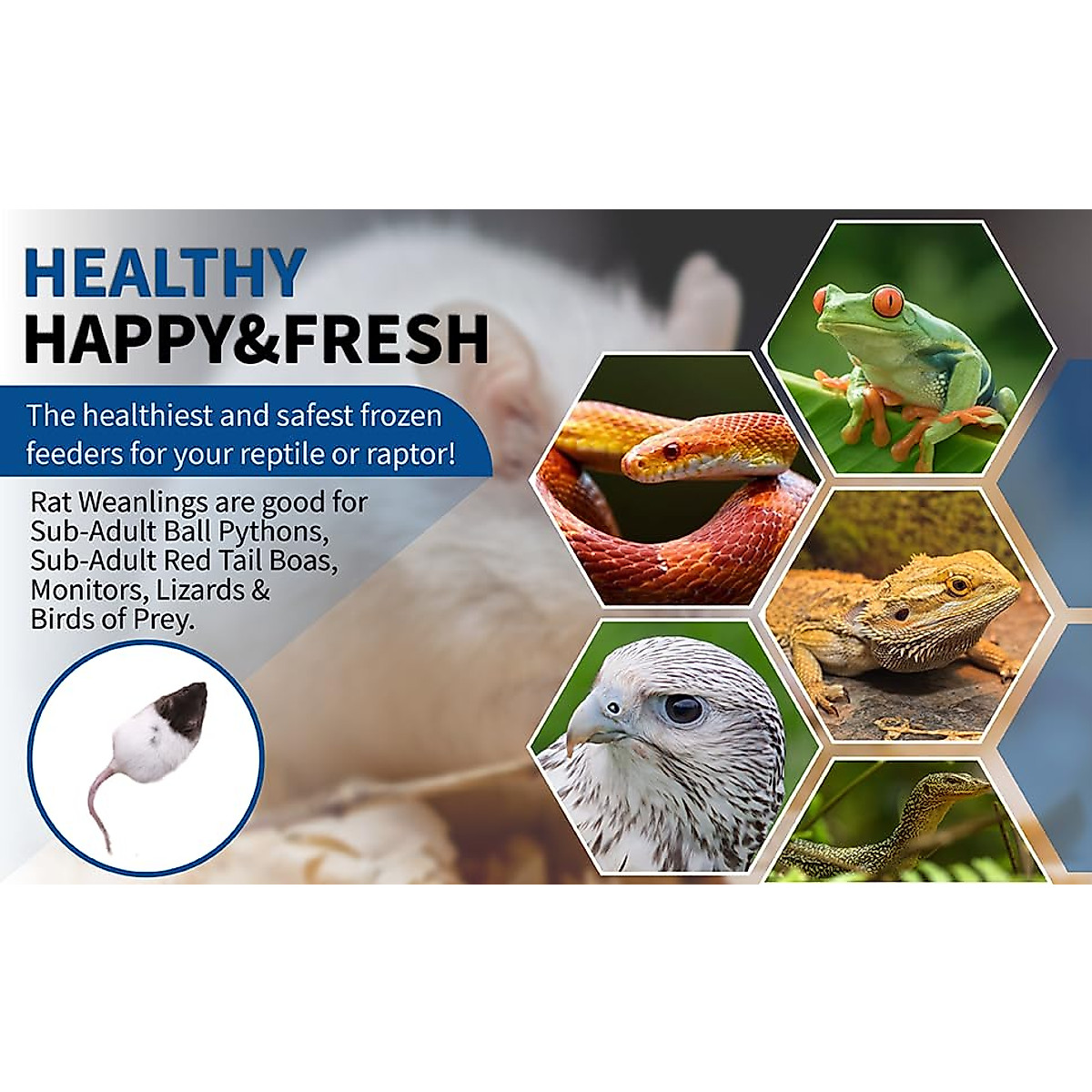 MiceDirect 15 Weanling Rats: Pack of Frozen Weanling Feeder Rats - Food for Corn Snakes, Ball Pythons, Lizards and Other Pet Reptiles - Freshest Snake Feed Supplies