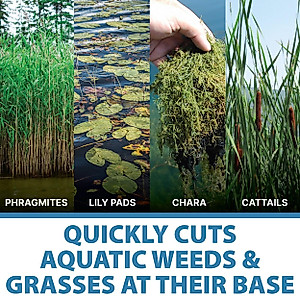 Jenlis Weed Razer Pro, Lake Weed Cutter, Large Pond Aquatic Plant Cutting Tool, Sharp Razor Blades Shear Cattail, Reed, Lilly & Chara Algae, Adjustable 30"-62” Inch Cut Width, 25' Foot Throw Rope