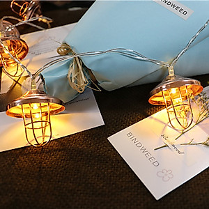 ARTSTORE Lantern String Lights Decorating Lights 10LED 1M Fairy Hanging Lights with Gold Metal Cage for Indoor Bedroom Bar Coffee Shope Fairy Garden Home Wedding Christmas Party