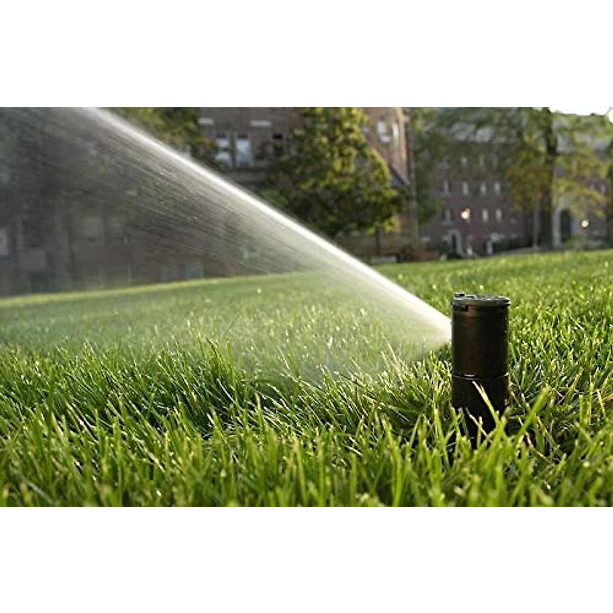 5000 Series Rotor Sprinkler Head - 5004 PC Model, Adjustable 40-360 Degree Part-Circle, 4 Inch Pop-Up Lawn Sprayer Irrigation System - 25 to 50 Feet Water Spray Distance (Y54007) (20 Pack Case)