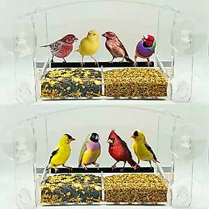 GoGiffy (2-Pack) Acrylic Window Bird House Feeders for Outside Viewing | Large Capacity with 4 Strong Suction Cups | Removable Seed Tray with Drain Holes | Easy to Refill & Clean | Squirrel Chew Proof