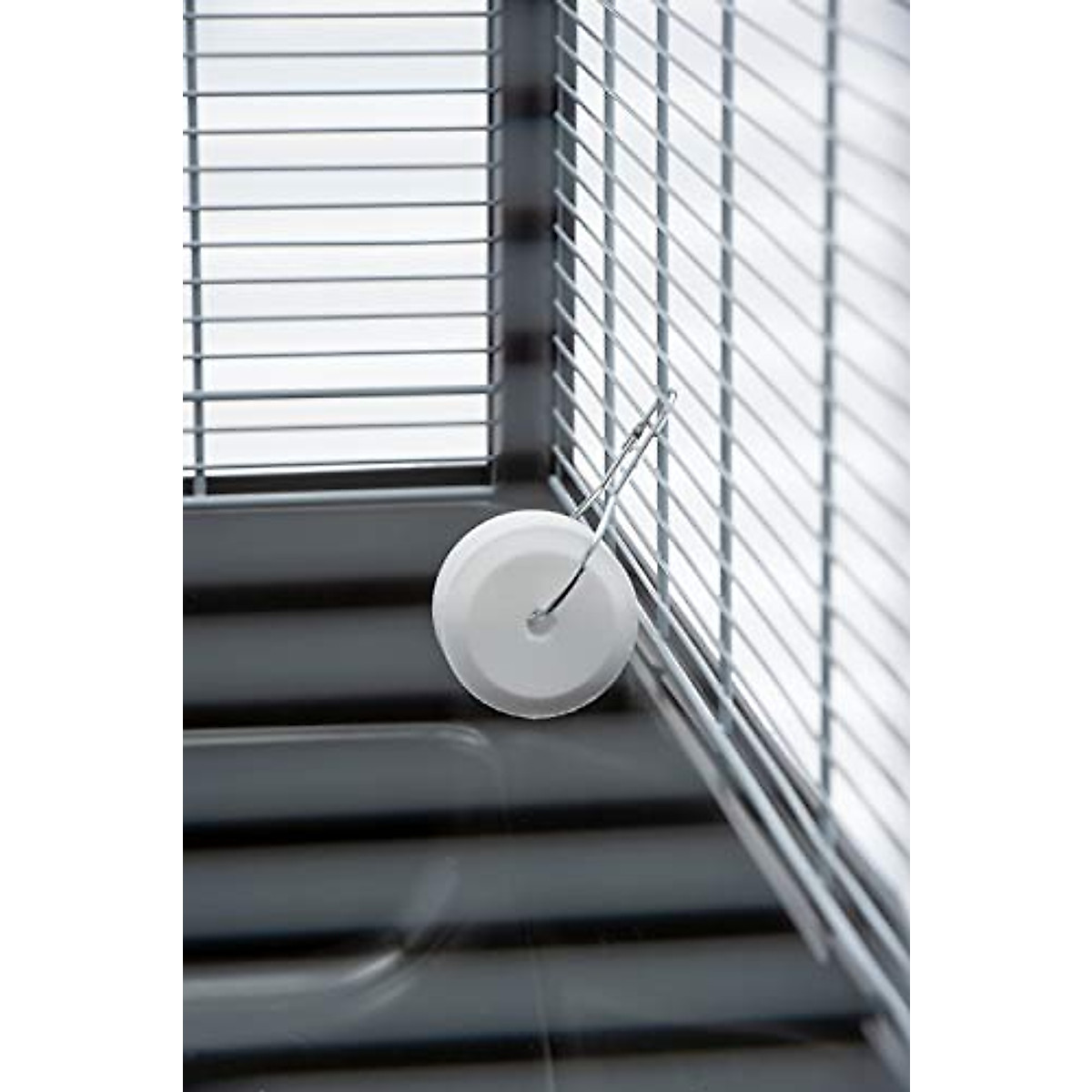 Lixit Salt and Mineral Wheels for Rabbits Guiana Pigs and Other Small Animals (Pack of 2 Two Wheels)