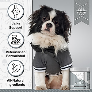 Pawlife All Natural Multivitamin Soft Chews for Dogs| Glucosamine Chondroitin for Joint Support with Probiotics for Gut & Immune Health| Mobility and Advanced Wellness Support|4-Month Supply