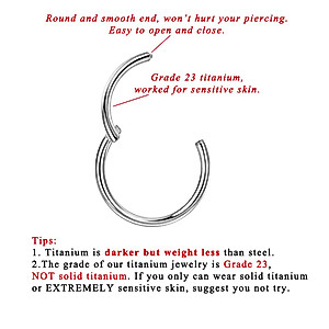 FANSING Titanium Nose Rings 18g Nose Hoop 8mm Piercing Hoop for Cartilage Helix Septum Jewelry 18 Gauge