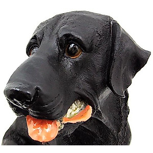 Black Labrador Dog with Lantern Garden Solar Light