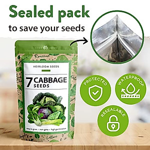 7 Cabbage Seeds for Planting - 2000+ Heirloom & Non-GMO Seeds - Golden Acre, Bok Choy, Savoy, Michihili, Red Acre, Copenhagen Market, Jersey Wakefield Cabbages - Garden Vegetable Lettuce Seeds