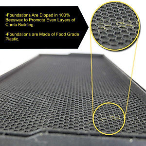 Hoover Hives 10 Frame Langstroth Beehive Dipped in 100% Beeswax Starter Kit (1 Deep Box& Accessories)