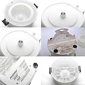 TINTAG Potato Peeling Machine, Fully Automatic Salad Rotator,Multifunction Potato Peeler Peeling Machine,Load-Bearing 1kg Potato Electric Peeling Machine,for Kitchen Fruits Vegetables