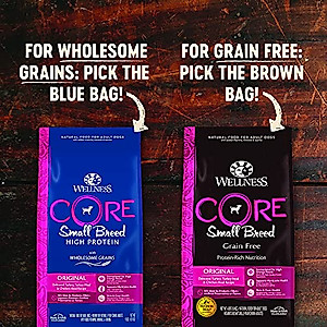 Wellness CORE Natural Grain Free Dry Dog Food, Small Breed Healthy Weight, 4-Pound Bag