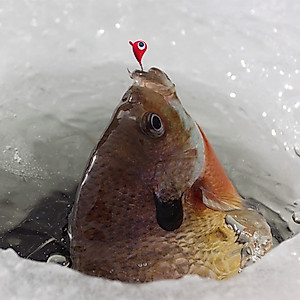 25Pcs Ice Fishing Jigs for Panfish Crappie Sunfish Walleye Ice Fishing Jig Box Gear Accessories Ice Fishing Tackle Box Set (Style 3)