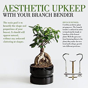BambooMN Bonsai 4 Branch Benders Set for Bonsai - Plants