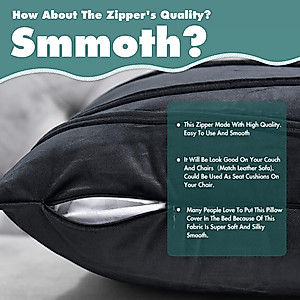 NianEr Decorative Plush Velvet Throw Pillow Covers Sofa Accent Couch Pillows Set of 2 for Bed Living Room Square Pillow Cases 18X18 Black